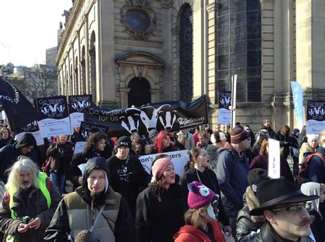 The Vegan Society Protest Against The Badger Cull The Vegan Society