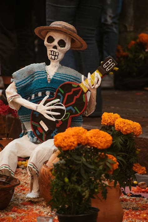 有关dia De Los Muertos 万圣节 万寿菊鲜花 下落 传统服装 传统服饰 假日 傳統 北美 吉他 地方节日