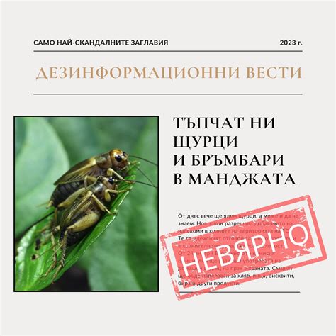 🚫 Скандално Европейската комисия забранява на българите мусаката
