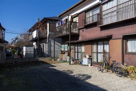 会いたい会えない 一日一猫