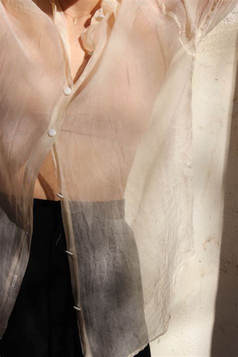 Sheer Silk Blouse Garmentory
