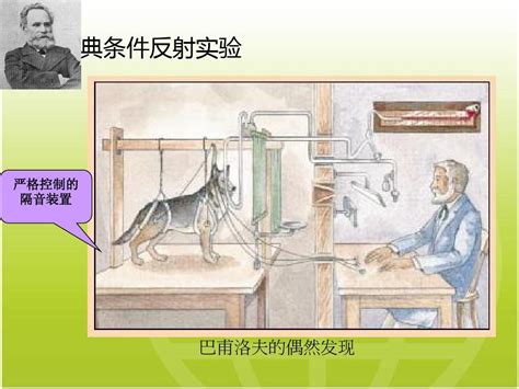 找出三则广告其中一则基于认知学习一则基于操作性条件反射一则基于经典性条件反射。word文档在线阅读与下载免费文档