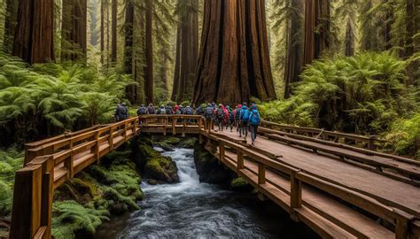 Navarro River Redwoods State Park Explore California Verdant Traveler