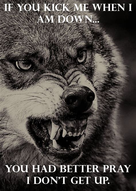 Warrior Wolf Quotes Shortquotescc