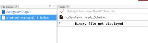 Uploading An Image Make The Page Un Loadable In The Speedgrader · Issue