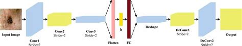 Structure Of Cae Model Download Scientific Diagram