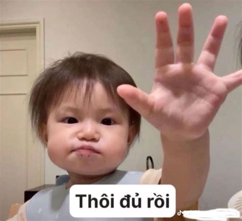 Meme Là Gì Top 10 Meme được Sử Dụng Nhiều Nhất Hiện Nay