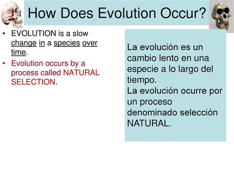 Aim How Does Evolution Occur By Natural Selection Ppt Descargar