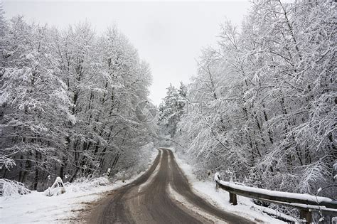 冬季森林中的树木车道旅行人行道场景暴风雪假期季节国家天气下雪高清图片下载 正版图片320579770 摄图网