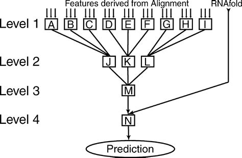 Rna Secondary Structure Prediction From Sequence Alignments Using A Network Of K Nearest