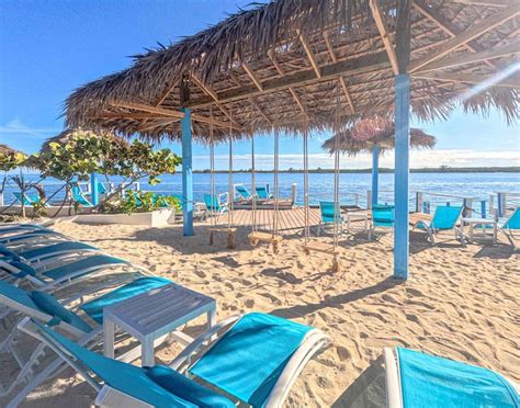 Snorkel Sunken Sculptures Iguanas And Sun Cay Beach Nassau The