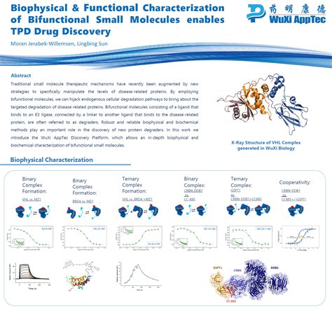 Ddc 2023 Biophysical And Functional Characterization Of Bifunctional