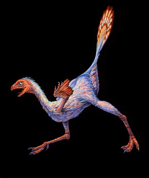 Artwork Of Caudipteryx Sp A Bird Like Dinosaur Photograph By Joe