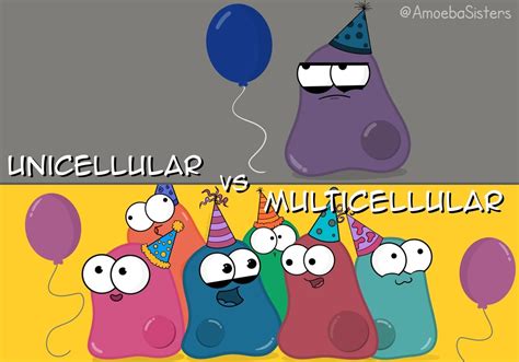 Unicellular Vs Muticellular Comic Science With The Amoeba Sisters