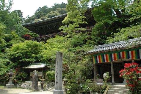 什麼姬路市居然這麼好玩
