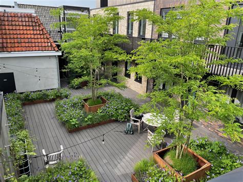 Urban Tree A Lightweight Solution When Planting Is Not An Option The Urban Jungle Project