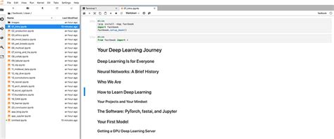 Missing Graphviz Please Run Conda Install Fastbook Fastai Dev Fast Ai Course Forums