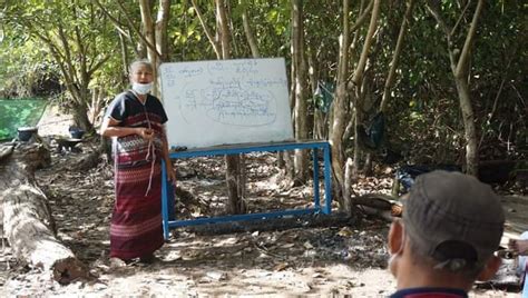 Dvb ညောင်လေးပင်ခရိုင်တွင် Knu က စားနပ်ရိက္ခာ ဘေးကင်းလုံခြုံရေးနှင့် မြေယာစီမံခန့်ခွဲမှုဆိုင်ရာ