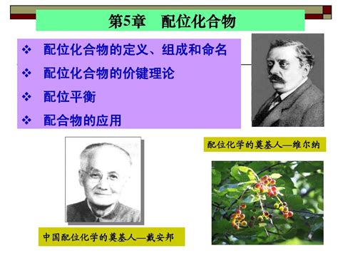 05 配位化合物word文档在线阅读与下载免费文档
