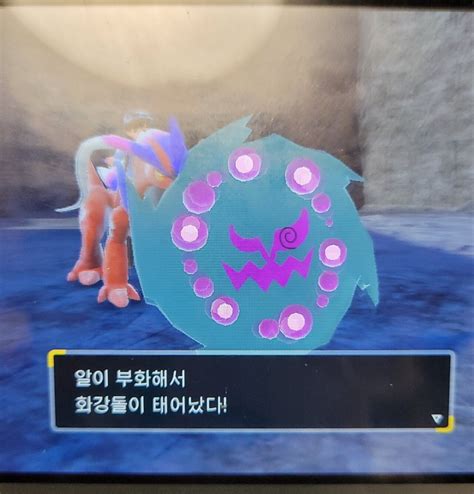 이로치 강돌이 ㅅㅅ 포켓몬 에펨코리아
