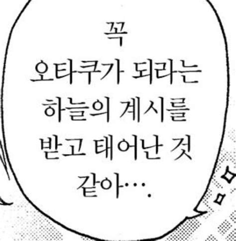 덕후 오덕 덕후짤 오타쿠가 되라는 하늘의 계시를 받고 태어난 것 같아 오늘의짤방
