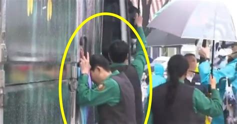 푸바오 탄 차 붙잡고 토닥인 작은할부지 송바오배웅객도 누리꾼도 울컥