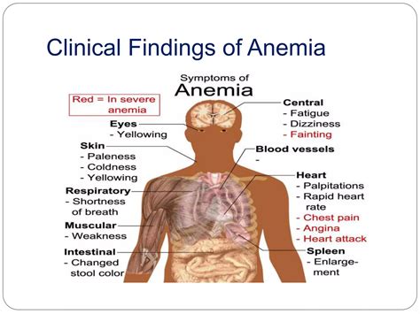 Microcytic Hypochromic Anemia Pptx