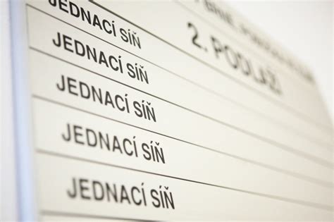 Za Znásilňování Chlapce Navrhla žalobkyně U Soudu V Ústí Matce Trest 10 Let