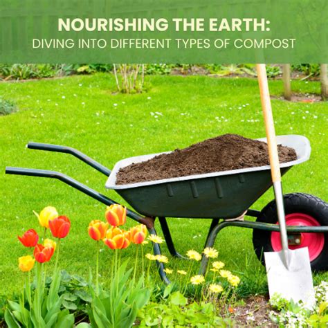 Nourishing The Earth Diving Into Different Types Of Compost Landzie