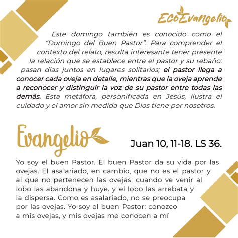 ECOEVANGELIO IV DOMINGO DE PASCUA 21 ABRIL 2024 Hermanas Catequistas