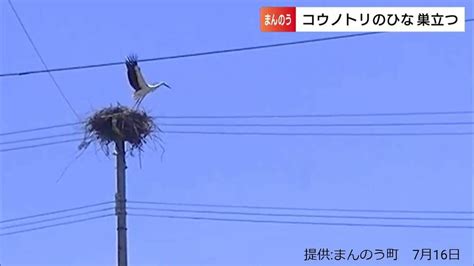 M Tbs News Dig