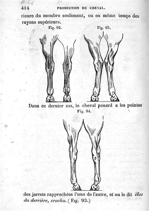Banque d images et de portraits BIU Santé Université Paris Cité