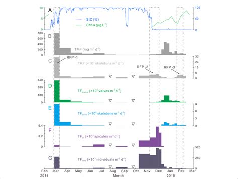 Time Series Variations Of Particle Fluxes Sic And Chl A Mg L −1 Download Scientific