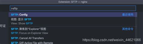 使用vs code配置nginx vscode nginx csdn博客