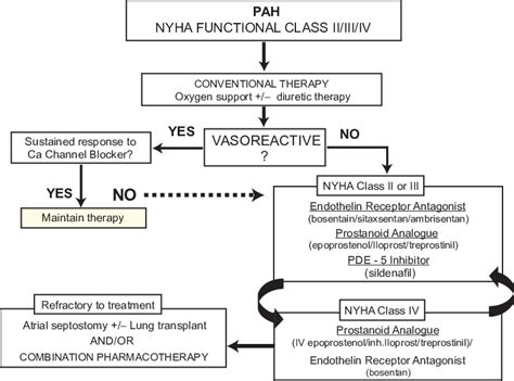 Proposed Algorithm For The Medical Management Of Pulmonary Arterial