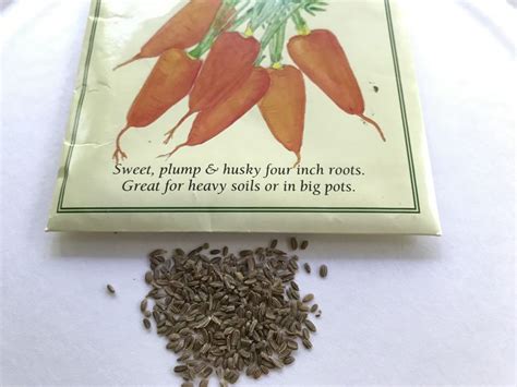 Storing Leftover Garden Seed Indiana Yard And Garden Purdue