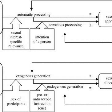 Processing Of Sexual Information A And Saccade Generation As Reaction Download Scientific