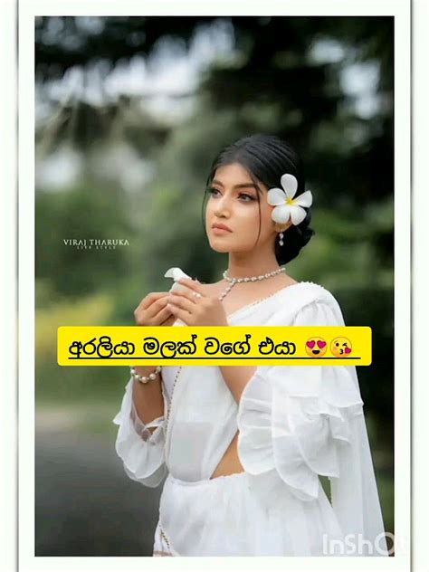 අරලියා මලක්ම 🌼තමා එයා 🌼 මෙයාට අාදලේ කට්ටිය කෝ බලන්න 😃🌼 Youtubeshort