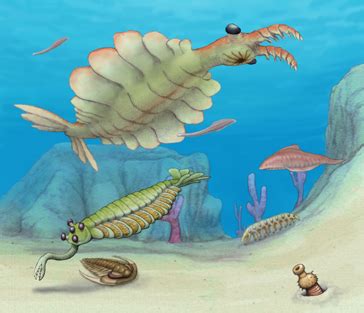 古世界の住人カンブリア紀Cambrian の世界
