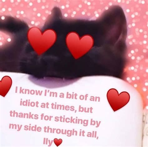 ｡ﾟ Cute Love Memes Cute Quotes Sweet Love Memes Stupid Memes Funny
