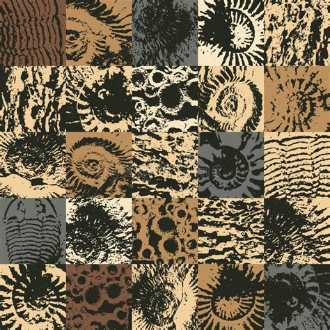 Abstact Seamless Pattern Background With Sea Stone Texture Stock Vector Illustration Of Fauna