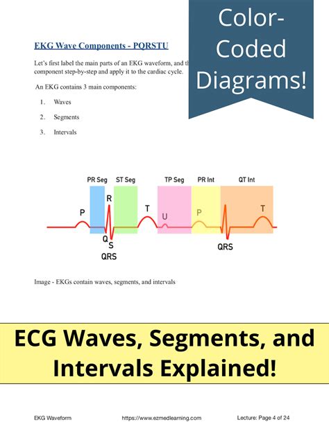 ECG Waveform Explained PDF EKG Labeled Diagrams Components Waves
