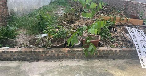 Bán đất ngõ 548 Nguyễn Văn Cừ 60m2 thiết kế xây ở tuyệt đẹp MT 4 6m