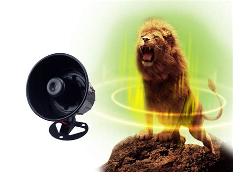 12 Volt Alarm System Efficient Burglar Alarm Sirens