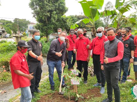PDIP Kota Bogor Tanam Pohon Dan Bebersih Sungai Ciliwung Bogor Channel