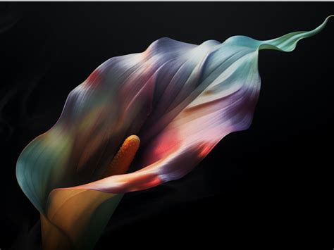 Coloful Mystery Flowers职业幻想家edward 站酷zcool