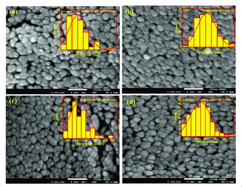 Fe Sem Images And Particle Size Distribution Histograms Of A