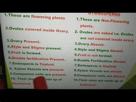 Difference Between Angiosperms And Gymnosperms YouTube