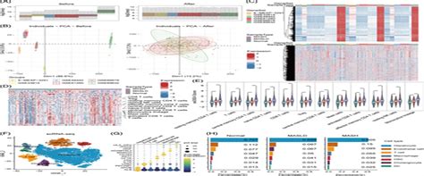 Hepatology Communications