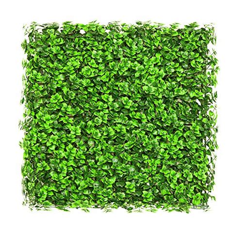 Ecoopts 20 X 20 Artificial Boxwood Hedge Ivy Fence Privacy Want It All